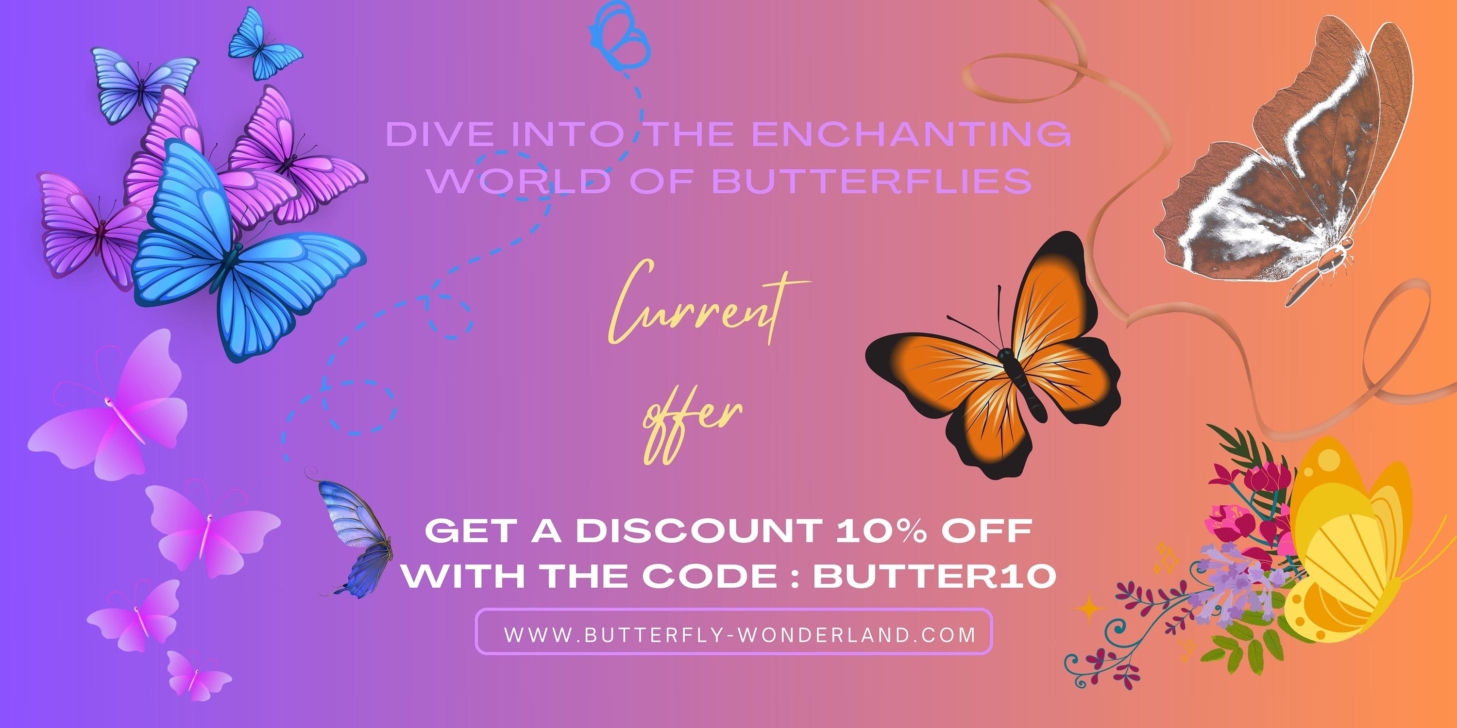 Butterfly Wonderland | Your shop for Butterfly outfits and accessories